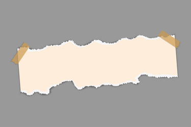 Torn paper real brown paper or ripped pieces Vector Image