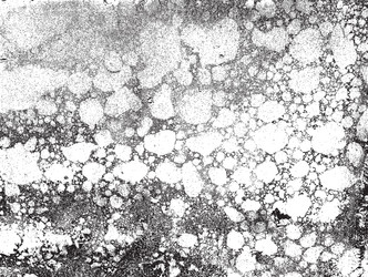 Rust Vector Images (over 26,000)