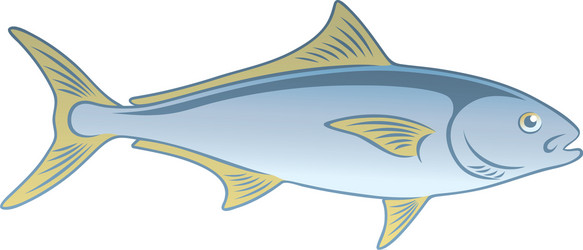Kingfish Vector Images (over 680)