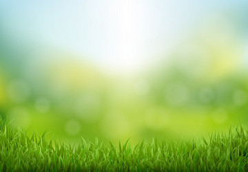 Nature Border Vector Images (over 170,000)