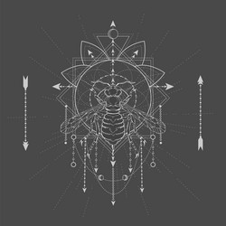 Bee Sacred Geometry Vector Images (98)