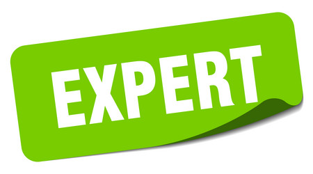 Expert sticker label Royalty Free Vector Image