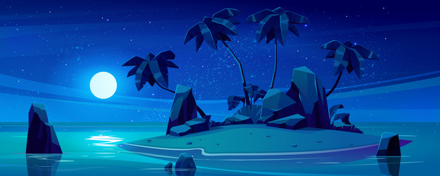 Night tropical island in ocean Royalty Free Vector Image