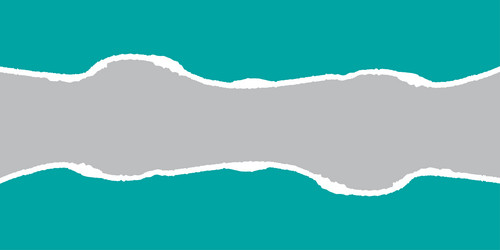 Paper tear torn page effect grunge texture soft Vector Image