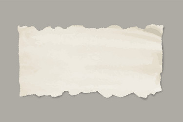 Torn paper real brown paper or ripped pieces Vector Image