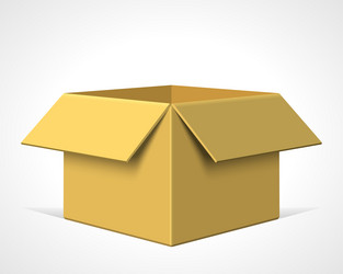Open cartoon flat cardboard box on white Vector Image