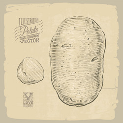 Potato Vector Images (over 55,000)