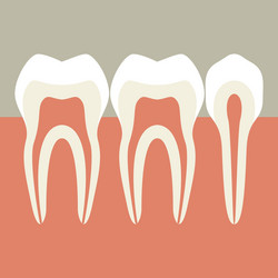 Teeth Vector Images (over 120,000)