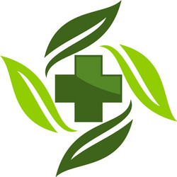 Leaf health logo design template Royalty Free Vector Image