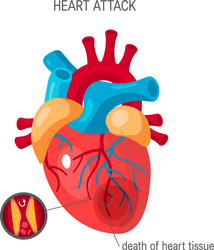 Beaten heart Royalty Free Vector Image - VectorStock