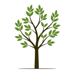 Fruit Tree Roots Vector Images (over 760)