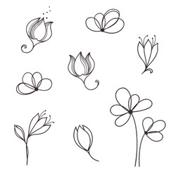 Drawing sakura flower cherry blossom outline Vector Image