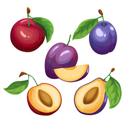 Red plum cartoon Royalty Free Vector Image - VectorStock