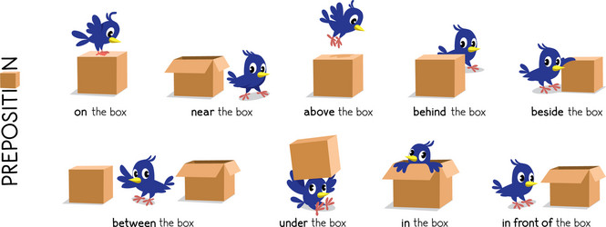 English prepositions of place visual aid Vector Image
