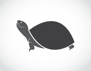 Turtle icon Royalty Free Vector Image - VectorStock