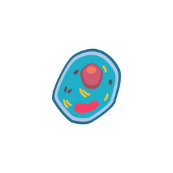 Cell Nucleus Cartoon