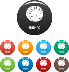 Nutmeg Color Collection Vector Images (over 140)