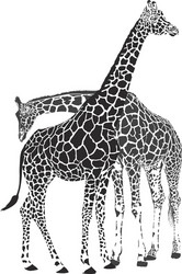 Giraffes Vector Images (over 41,000)