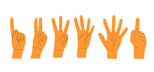 Finger count hand counting isolated on white Vector Image