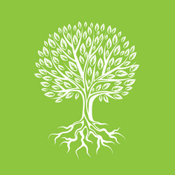 Abstract stylized tree with roots and leaves Vector Image