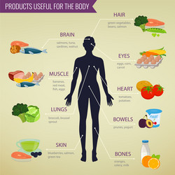 Products useful for the body healthy eating Vector Image