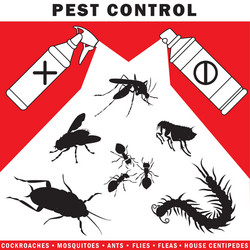 Pest Control Vector Images (over 11,000)
