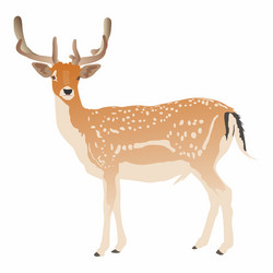 Sika Vector Images (over 360)