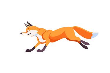 Fox Realistic Vector Images (over 1,000)