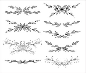 Floral design elements Royalty Free Vector Image