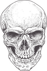 Skull drawing line work Royalty Free Vector Image