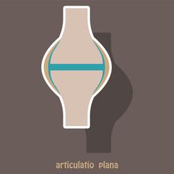 Knee joint health care icon sticker Royalty Free Vector