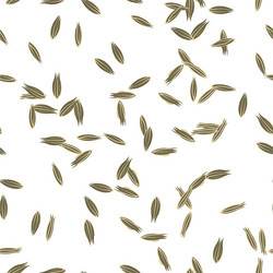 Cumin seeds seamless pattern hand drawn sketch Vector Image