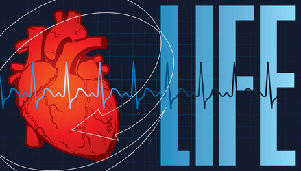 Life Vector Images (over 830,000)