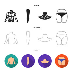Torso leg neck and buttocks body parts set Vector Image