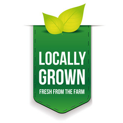 Organically Grown Vector Images (over 3,800)