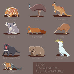 Educational australian animals color book page Vector Image