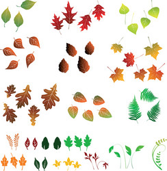 Leaf collection for designers Royalty Free Vector Image