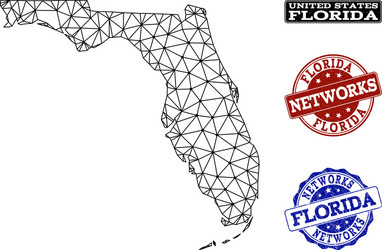 Polygonal network mesh map florida state Vector Image
