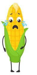 Cute sad corn character hand drawn cartoon Vector Image