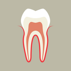 Tooth Vector Images (over 130,000)
