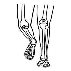 Patella Vector Images (over 750)