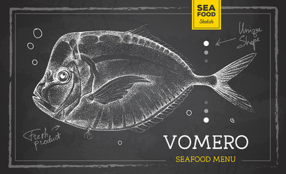 Hand drawn mullet fish on chalk board Royalty Free Vector