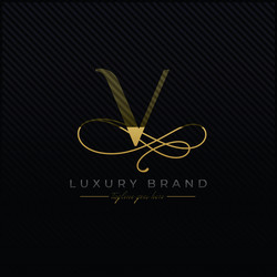 Letter v luxury royal circle ornament logo Vector Image