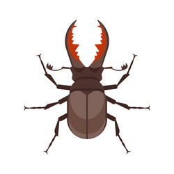 Stag beetle isolated on white background Vector Image