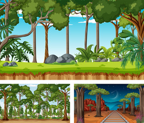 Different types forest horizontal scenes Vector Image