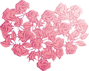 Floral background with pink roses Royalty Free Vector Image