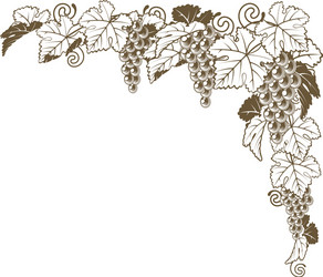 Vine Border Clipart Black And White
