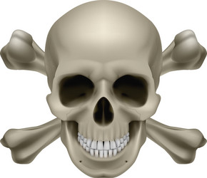 Crossbones and skull Royalty Free Vector Image