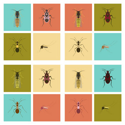 Assembly flat insect wasp soldier Royalty Free Vector Image