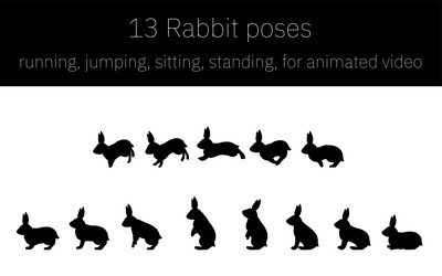 Rabbit movements for animation standing up Vector Image
